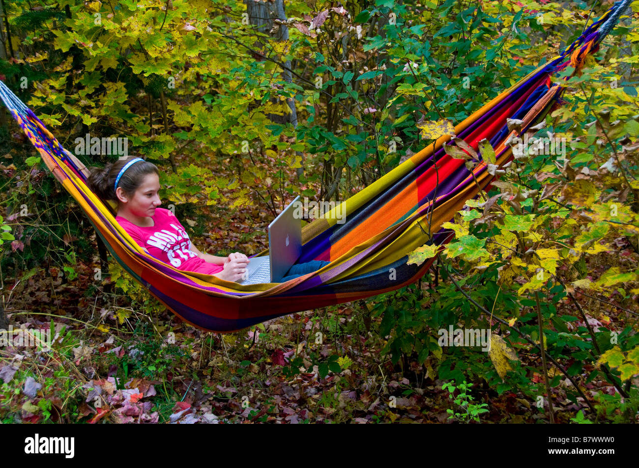 Teen reading laptop Stock Photo - Alamy