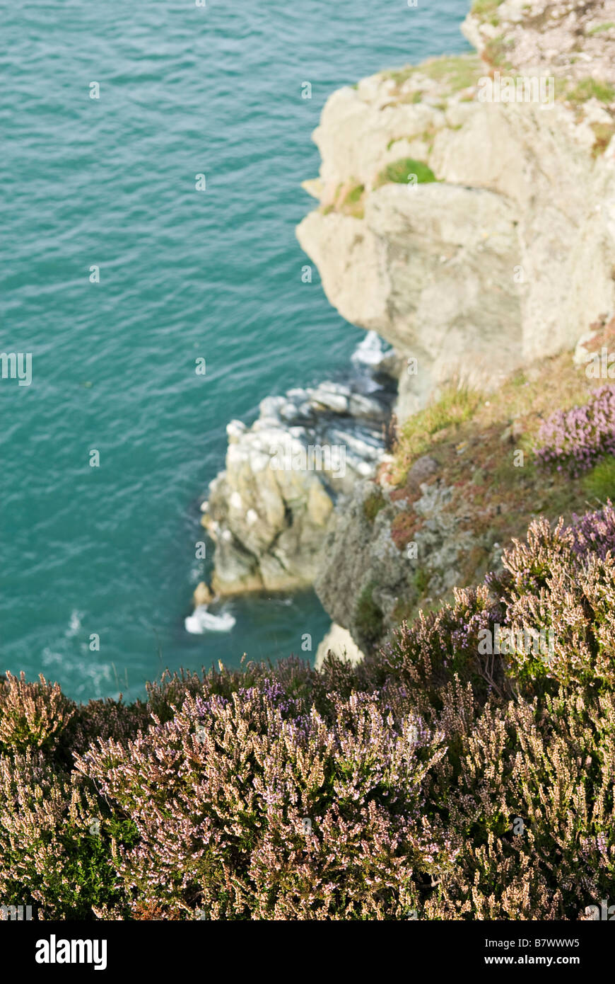 Looking down the cliffs, Howth Peninsula, Dublin Ireland, August 2006 ...