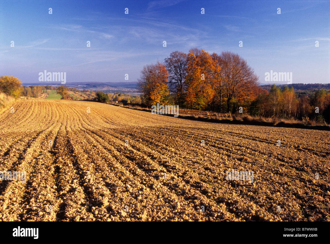 Plough field hi-res stock photography and images - Alamy