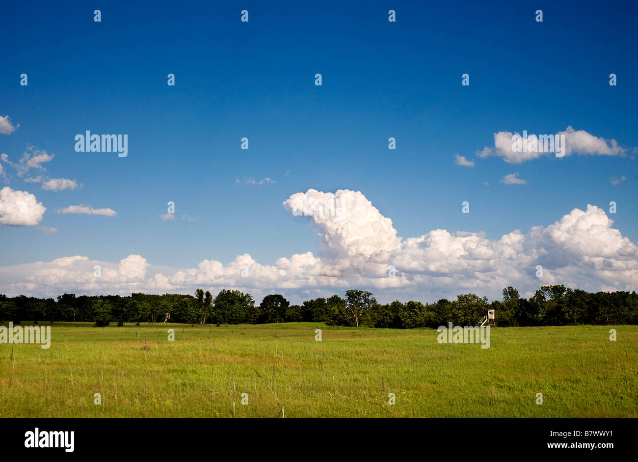 Deer hunting stand on farm fields in Southern Wisconsin Stock Photo - Alamy