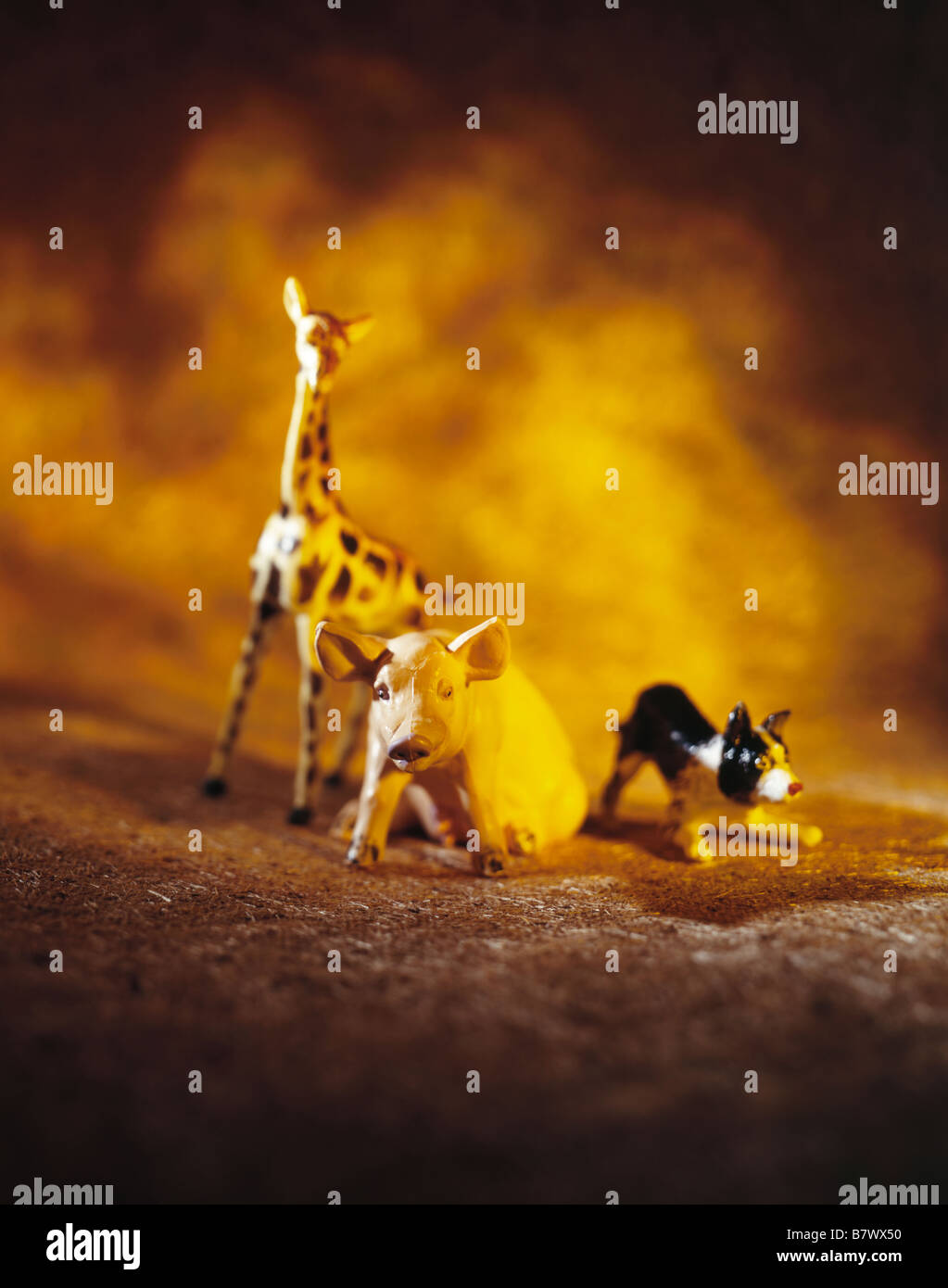 Wild domestic and farm animals Stock Photo - Alamy