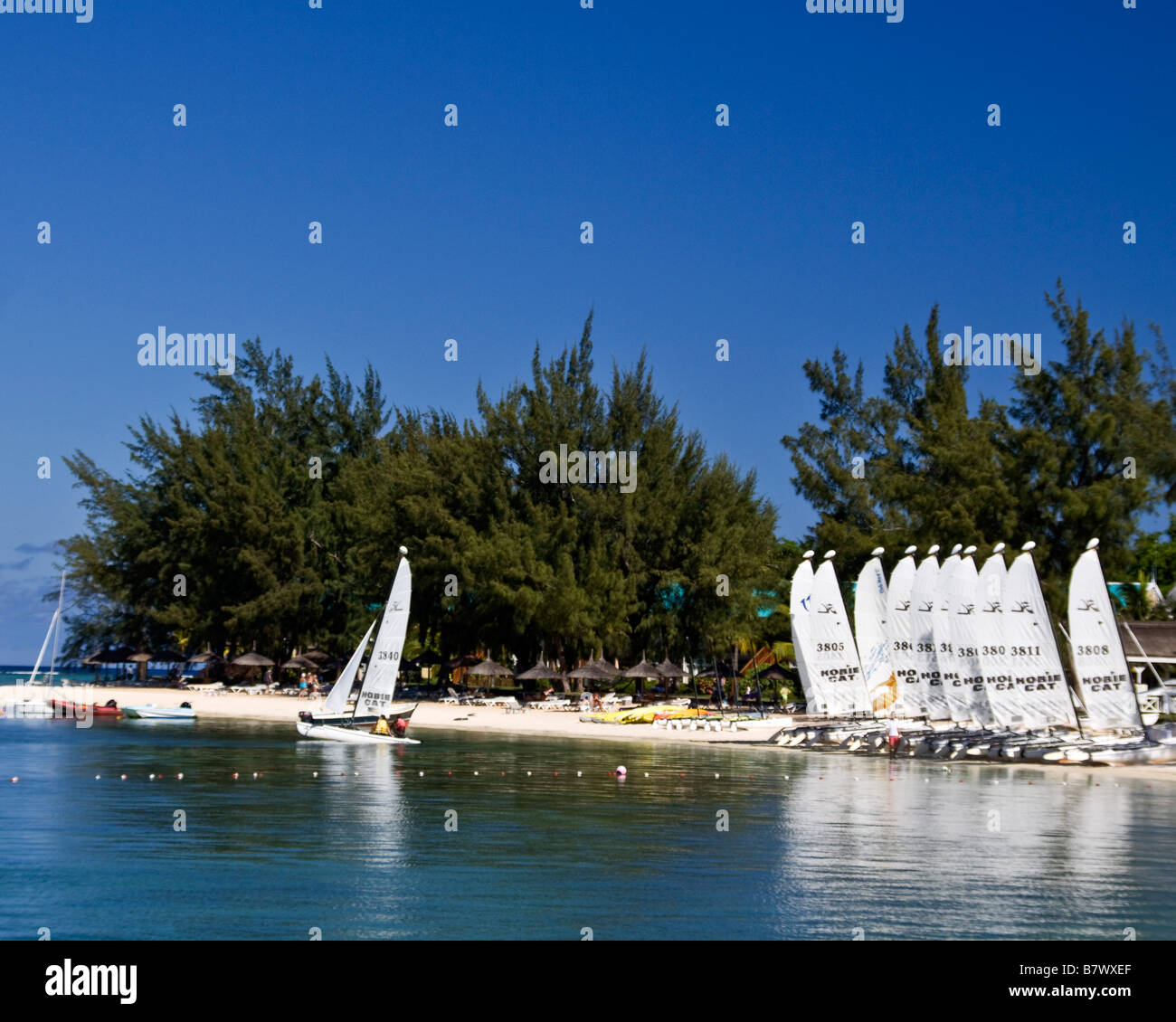 Group hobie cats hi-res stock photography and images - Alamy