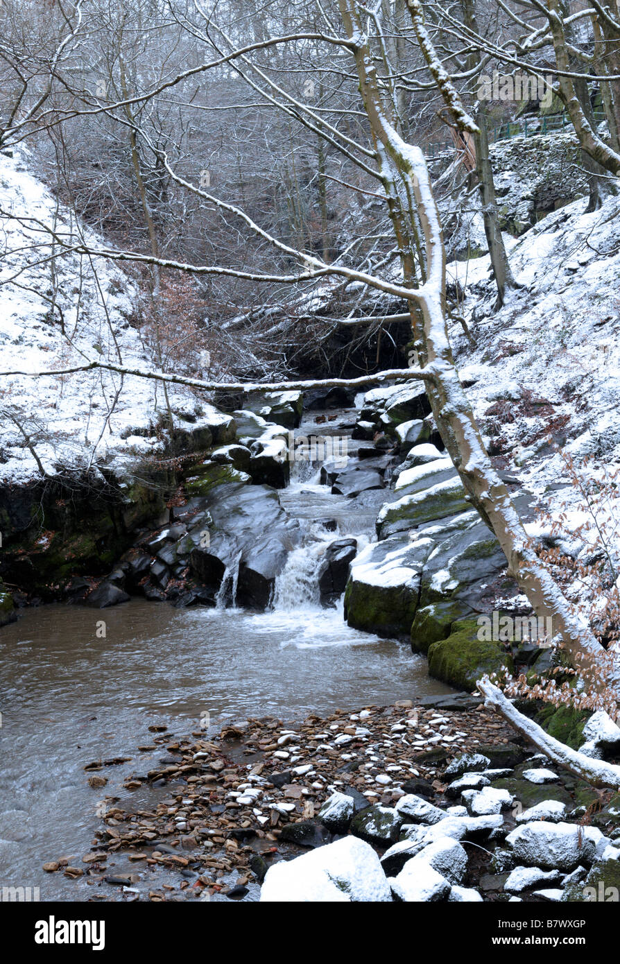 Healey dell nature reserve hi-res stock photography and images - Alamy