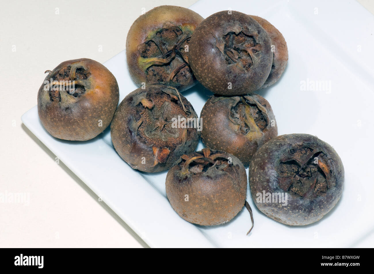 Common Medlar High Resolution Stock Photography and Images - Alamy