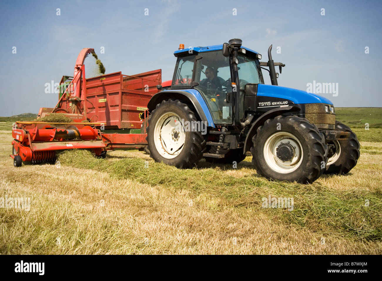 Silage cutting on dairy farm, Cornwall Stock Photo - Alamy