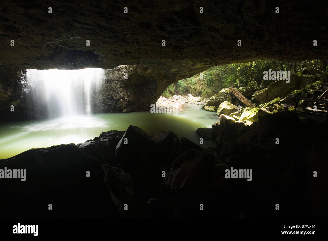 Springbrook National Park High Resolution Stock Photography and Images ...