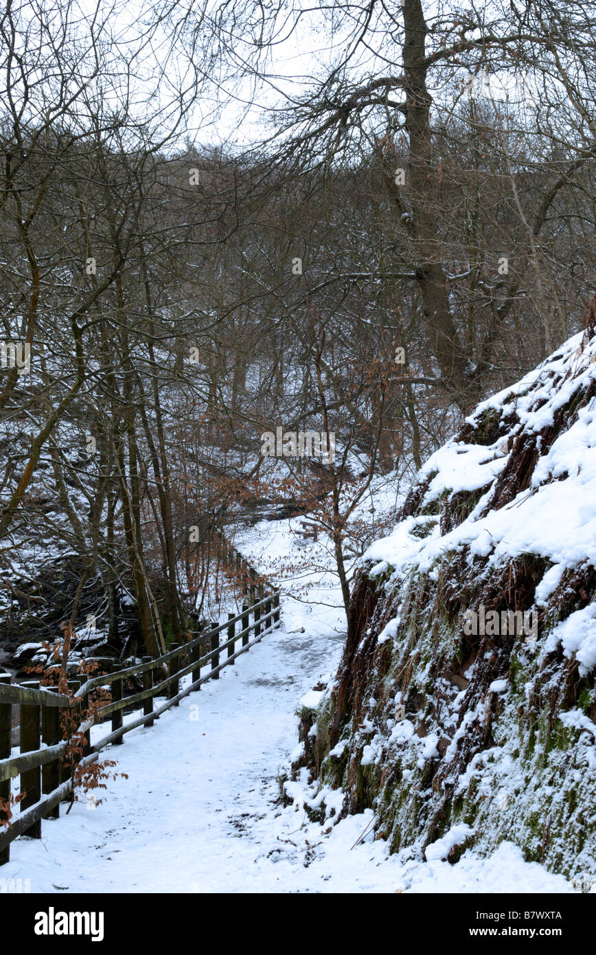 A snow covered footpath in Healey Dell Nature Reserve, Whitworth ...