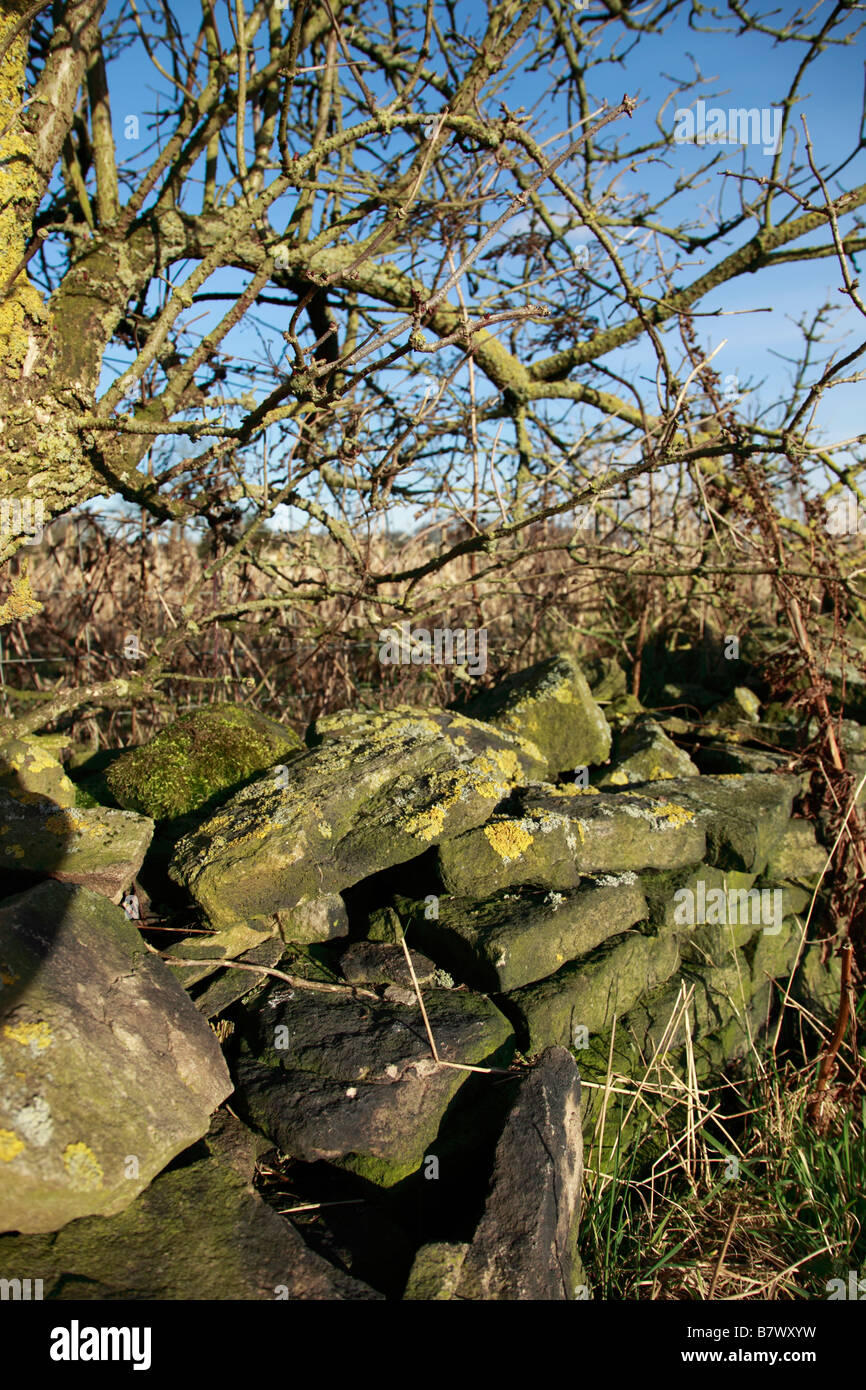 Dry stone wall Stock Photo - Alamy