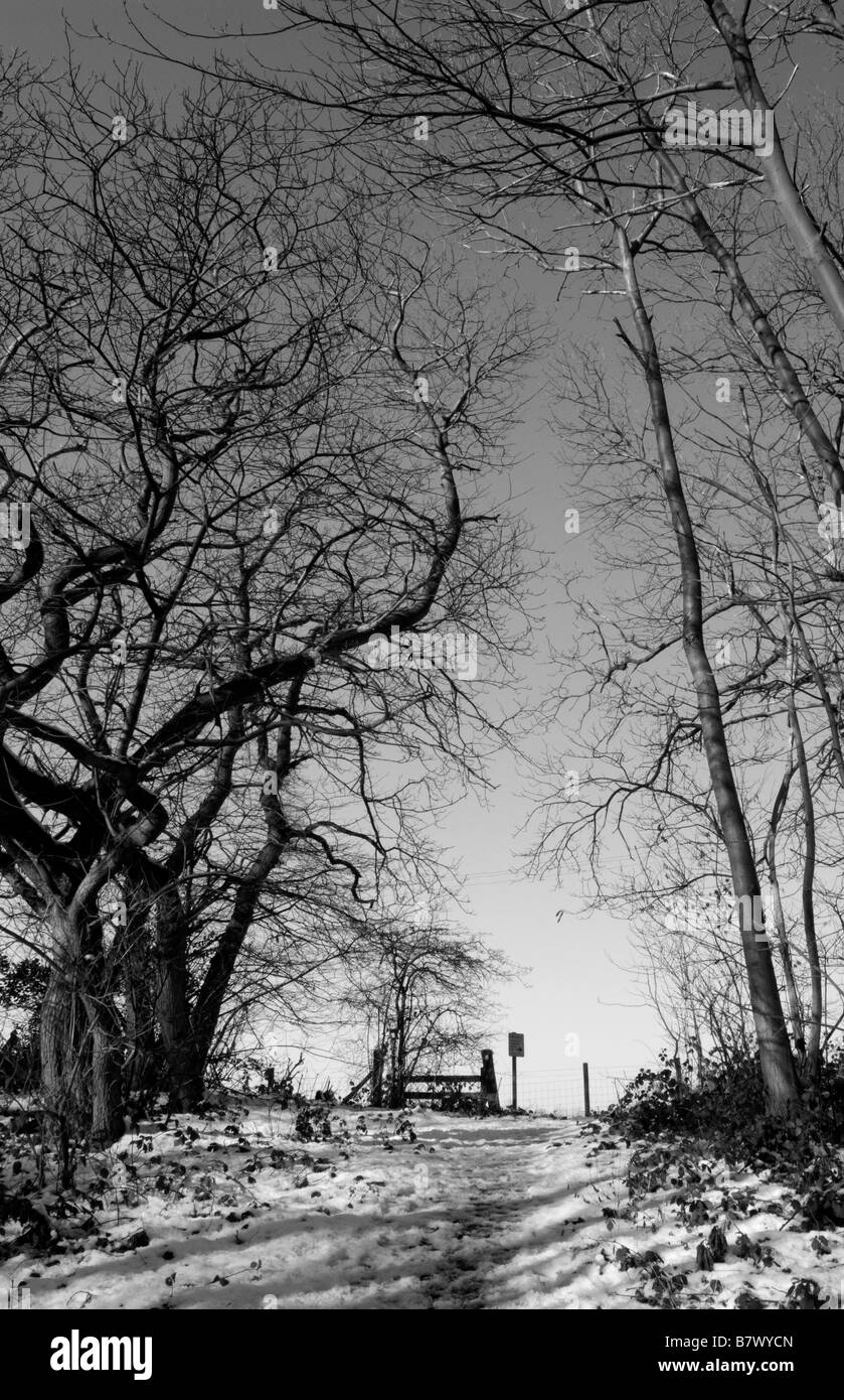 Landscape trees village view Black and White Stock Photos & Images - Alamy