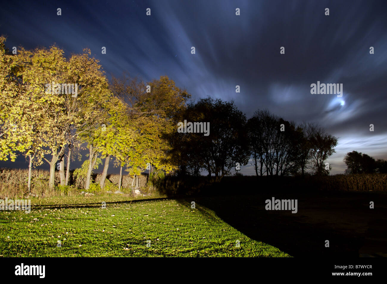 Night shot half and half, flash and natural light,moon trees and field ...