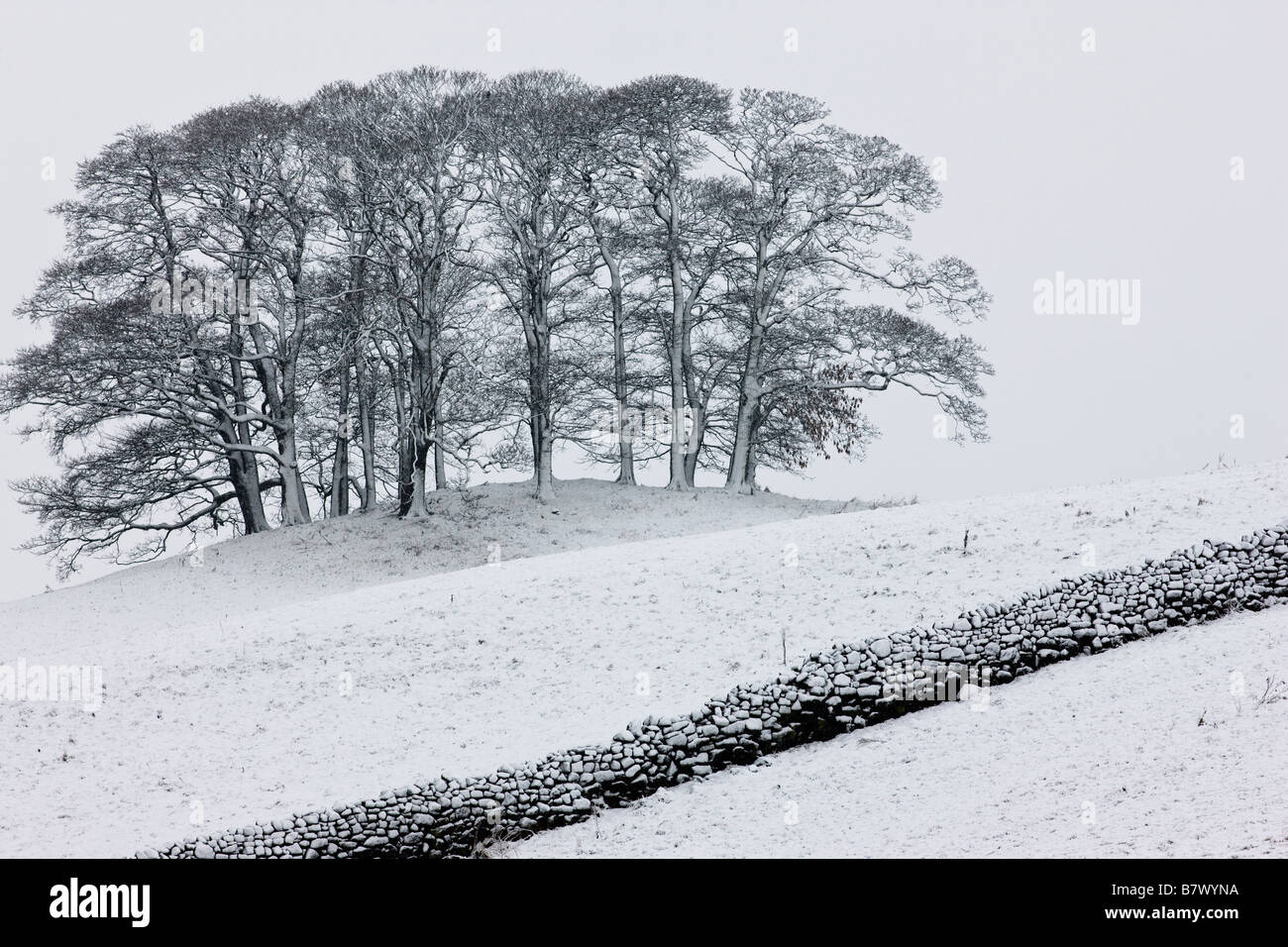 Snow covered Yorkshire hillside Stock Photo - Alamy