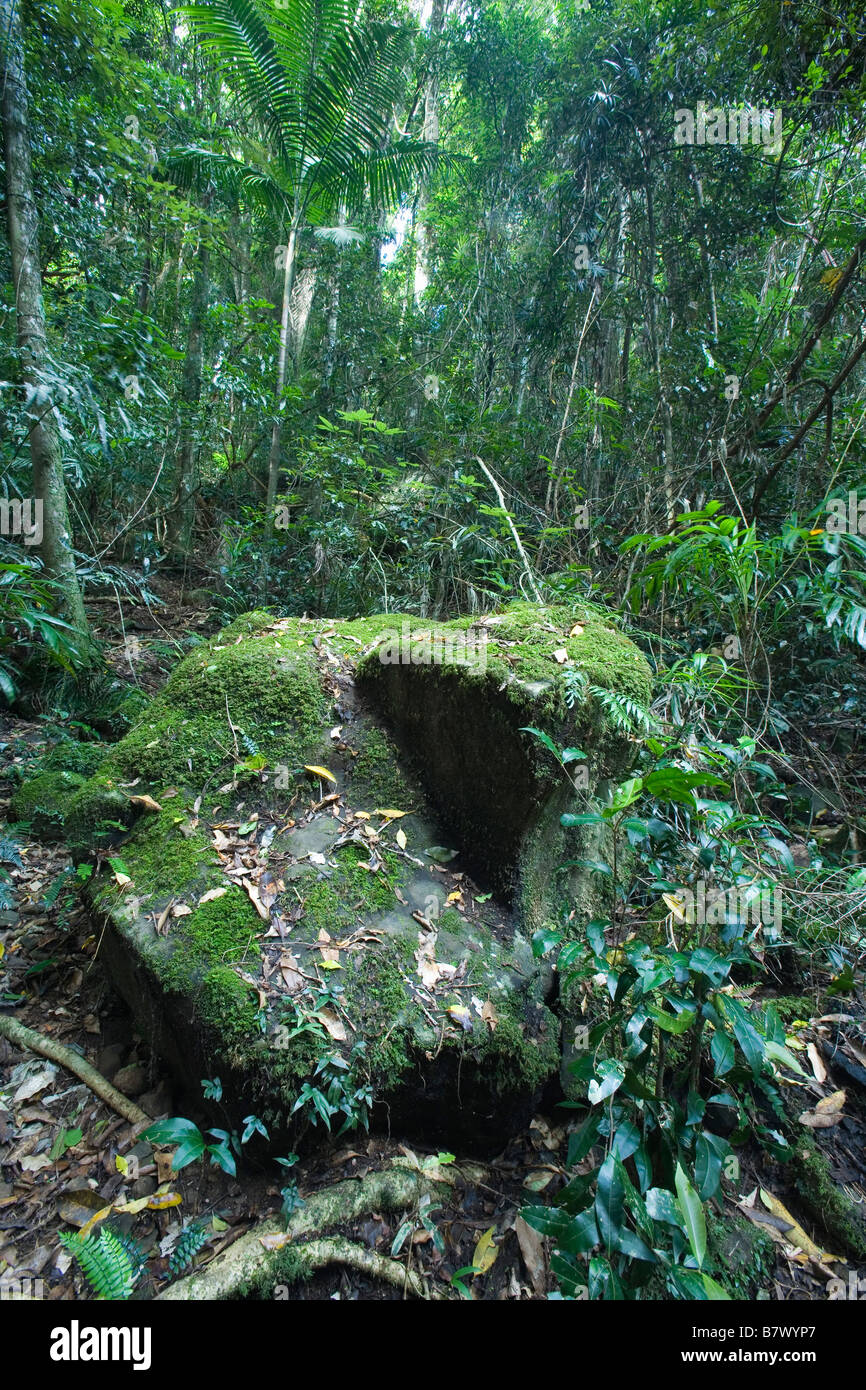 Gold coast hinterland hi-res stock photography and images - Alamy