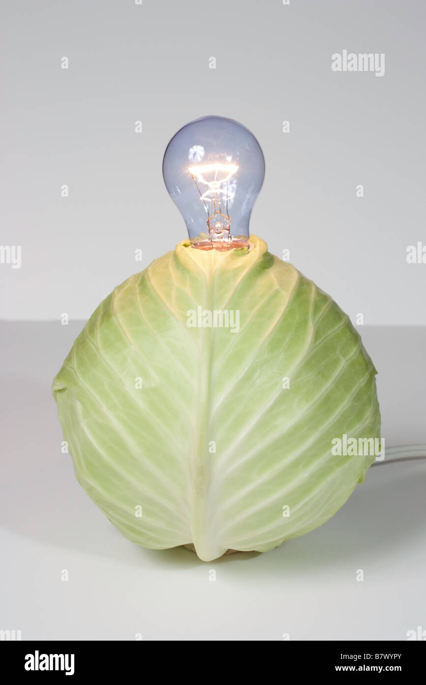 Cabbage with a light bulb Stock Photo - Alamy