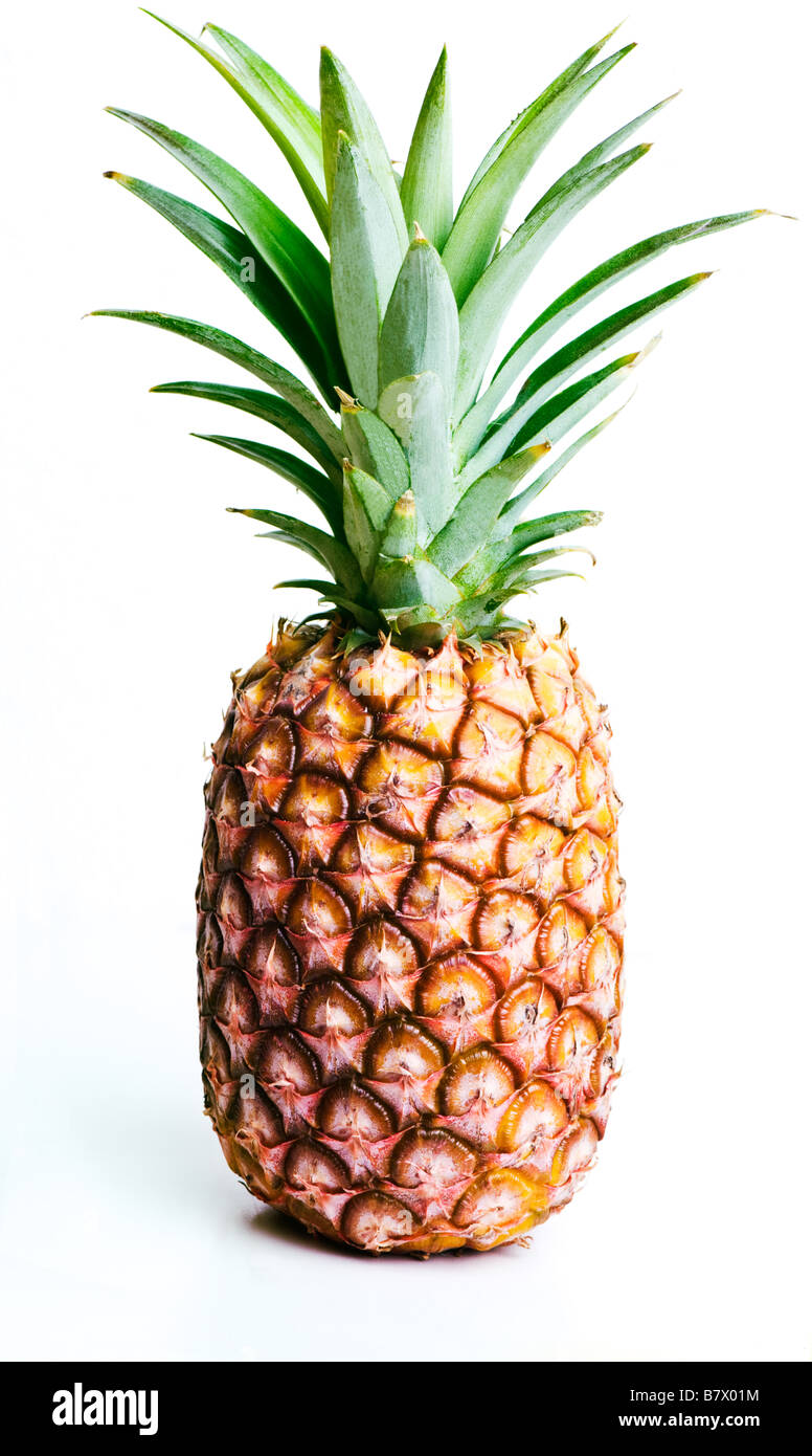 Pineapple stem Cut Out Stock Images & Pictures - Alamy