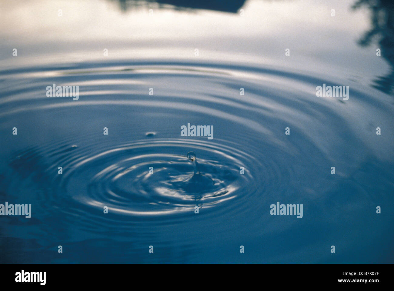 Water Droplet Causing Circular Ripples in Calm Water Stock Photo - Alamy