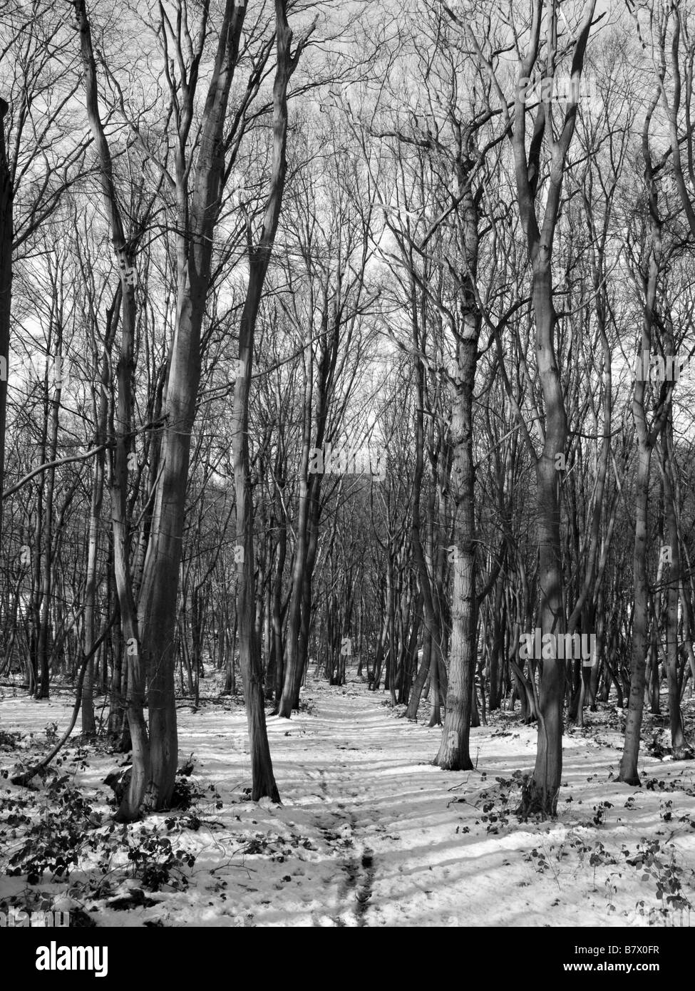 Snow landscape britain Black and White Stock Photos & Images - Alamy
