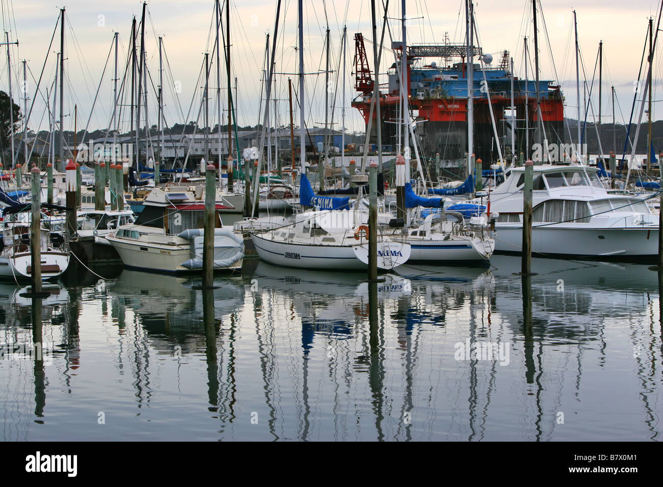 Beauty point marina hi-res stock photography and images - Alamy