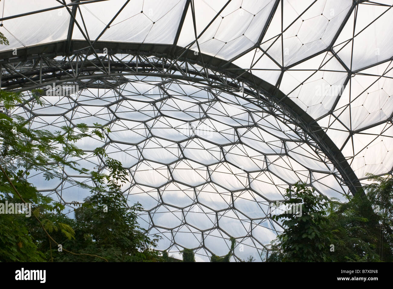 Inside the rainforest biome at the Eden Project Stock Photo - Alamy