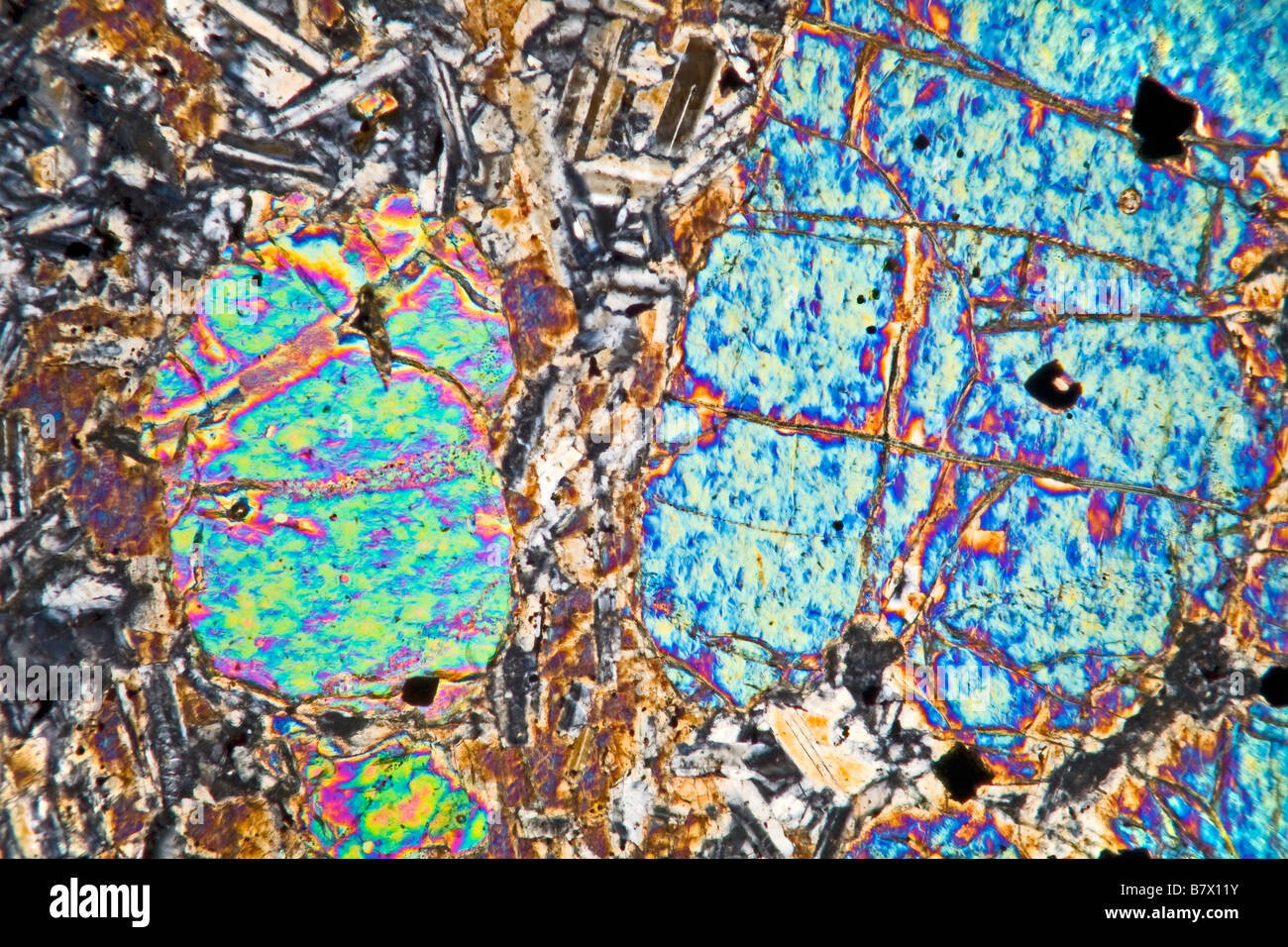 Picrite photomicrograph slide section viewed by cross polarized ...