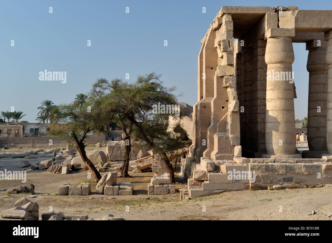 Ramesseum ramesses ii tree hi-res stock photography and images - Alamy