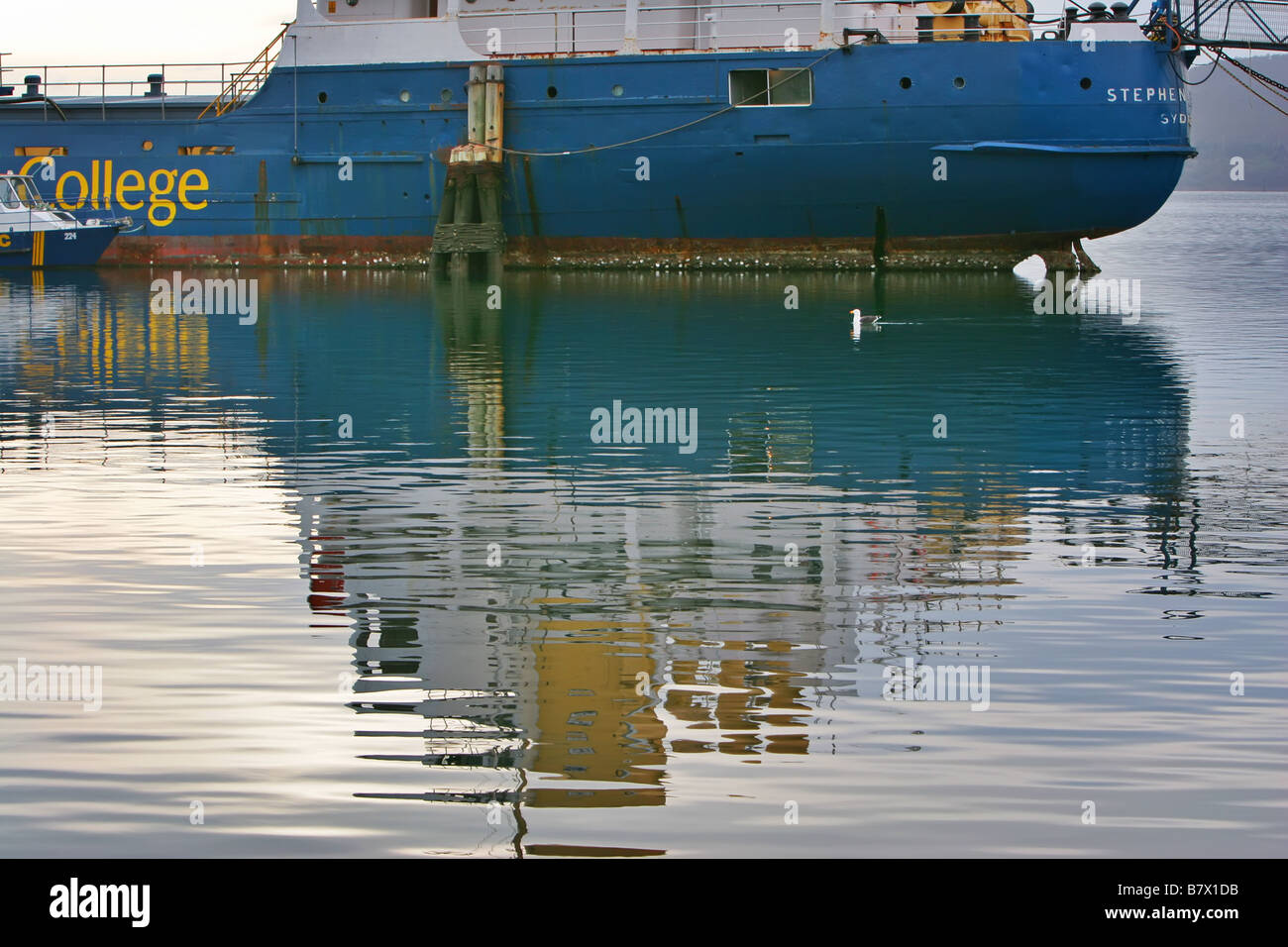 Beauty point marina hi-res stock photography and images - Alamy