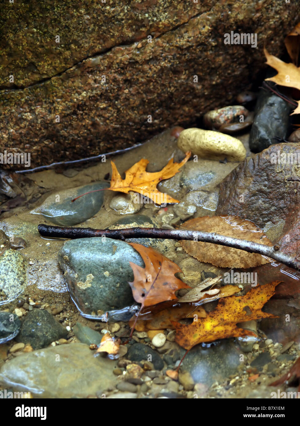 Photograph floating in water hi-res stock photography and images - Alamy