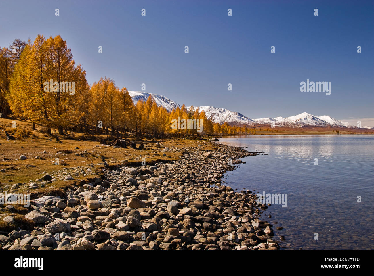 Altai tavan bogd hi-res stock photography and images - Alamy