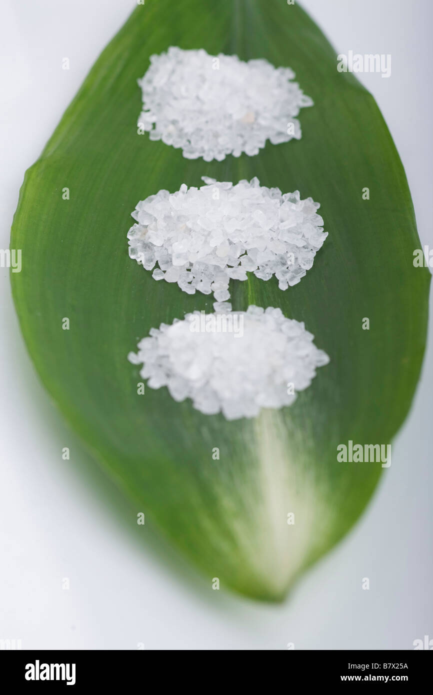 salt on a leaf Stock Photo - Alamy