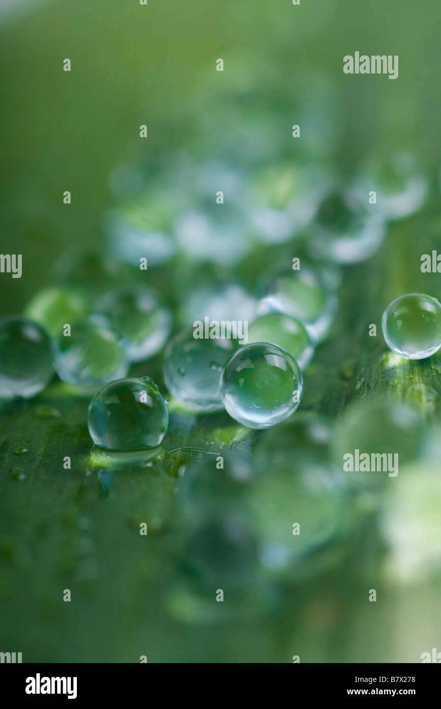 Oil Balls on Soap Leaf Stock Photo - Alamy