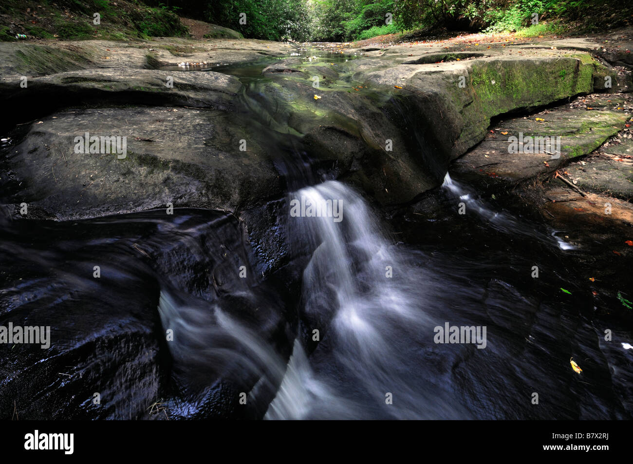 Creation Falls Waterfall Clifty Wilderness Area Red River Gorge ...
