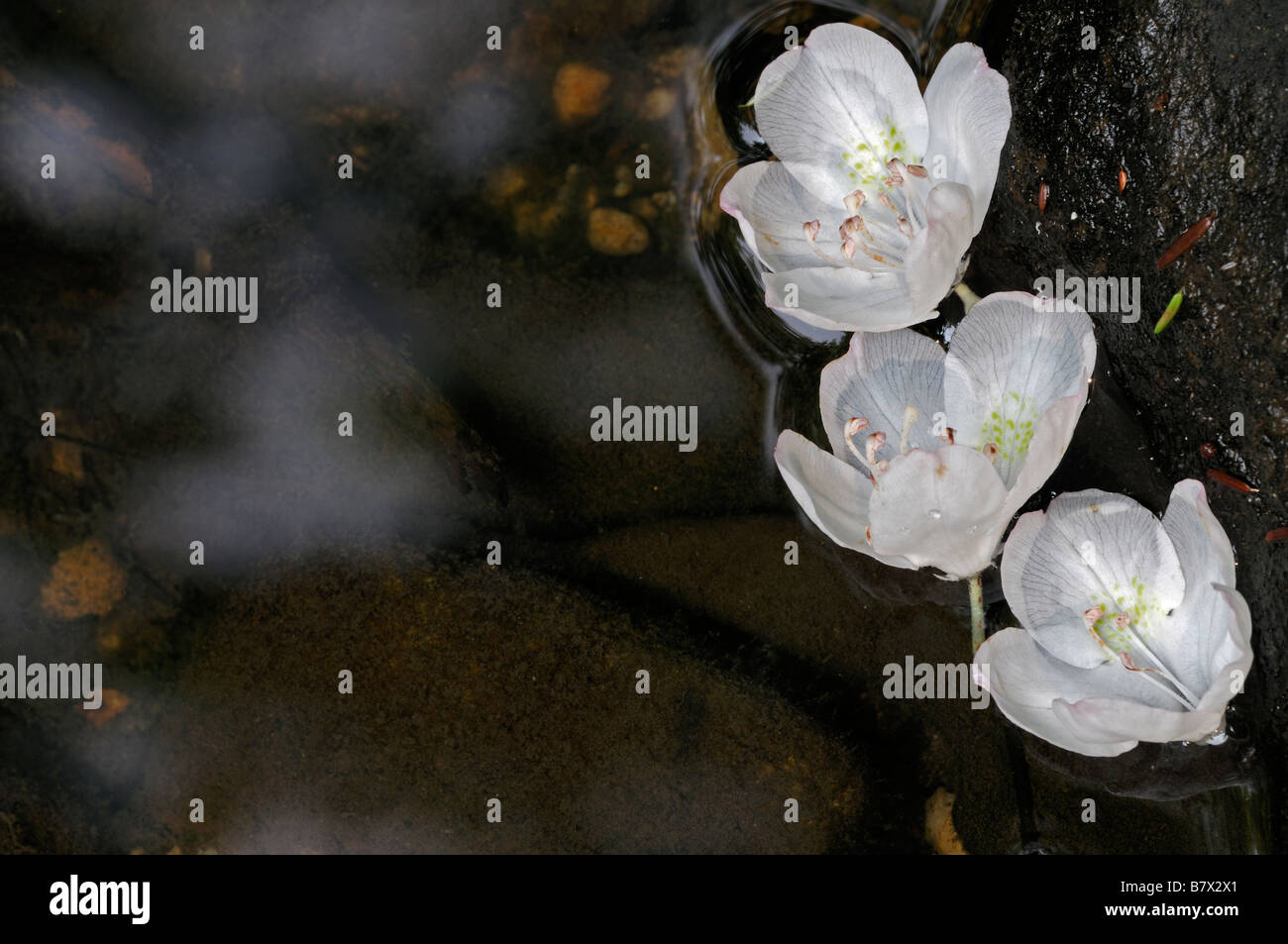 Floating a creek hi-res stock photography and images - Alamy