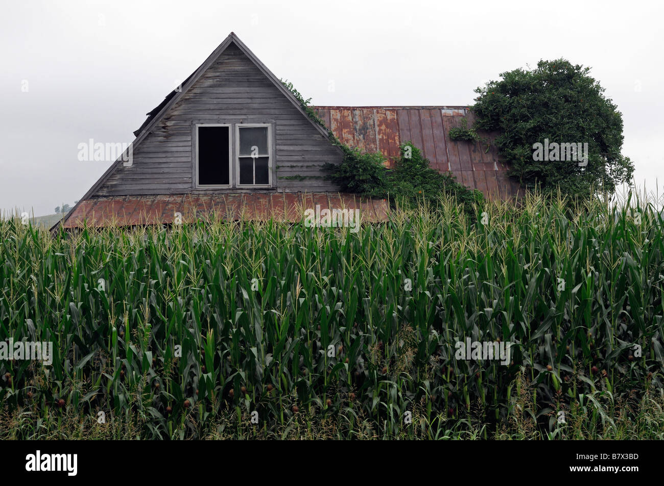 old uninhabited abandoned farmhouse homestead farm house sitting sit ...