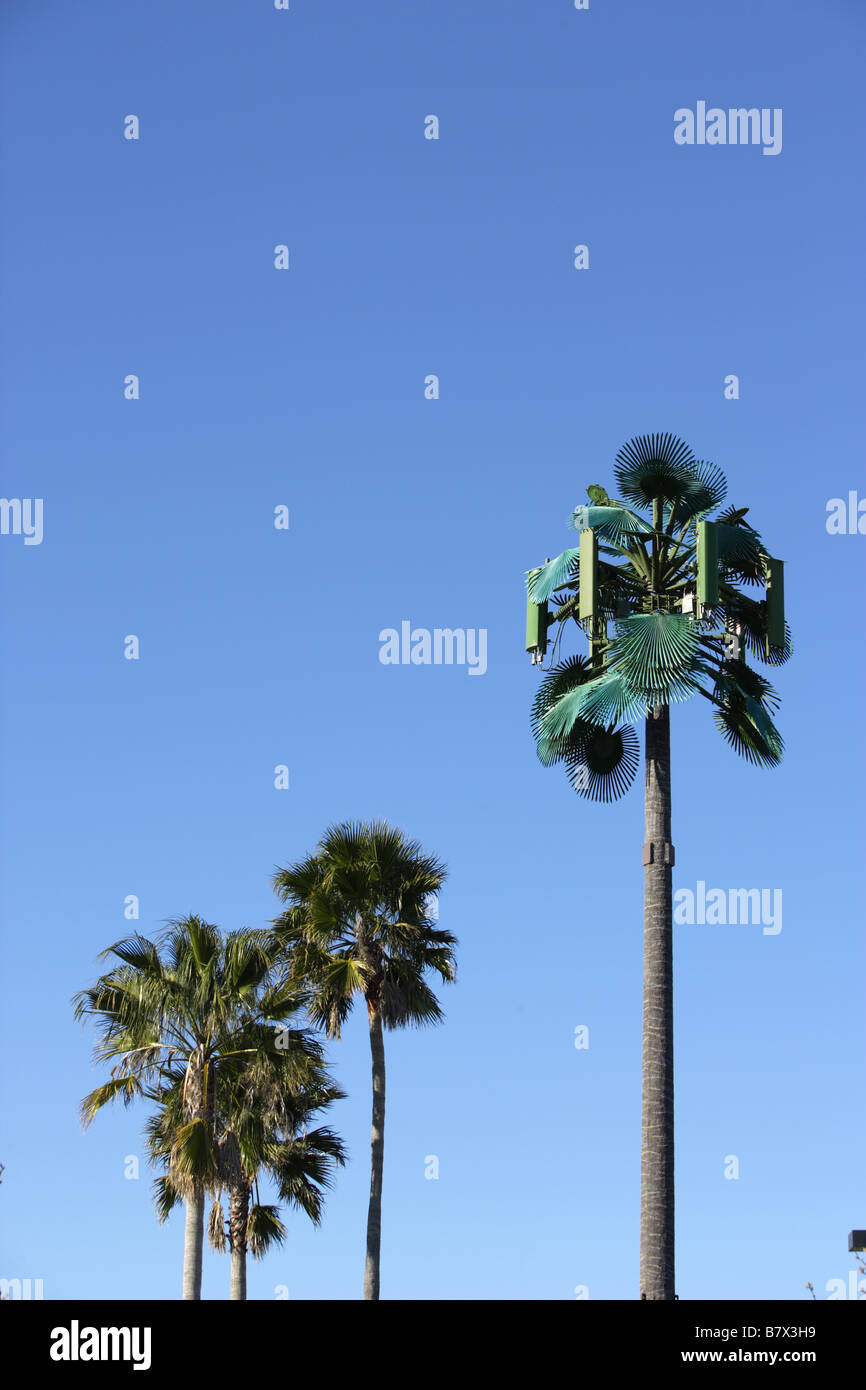 Cell phone tower tree hi-res stock photography and images - Alamy