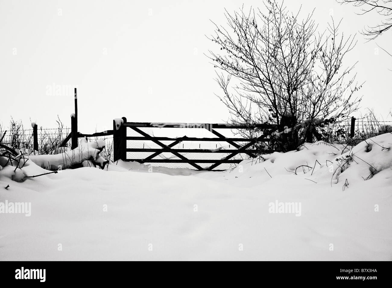 Winter gate hi-res stock photography and images - Alamy