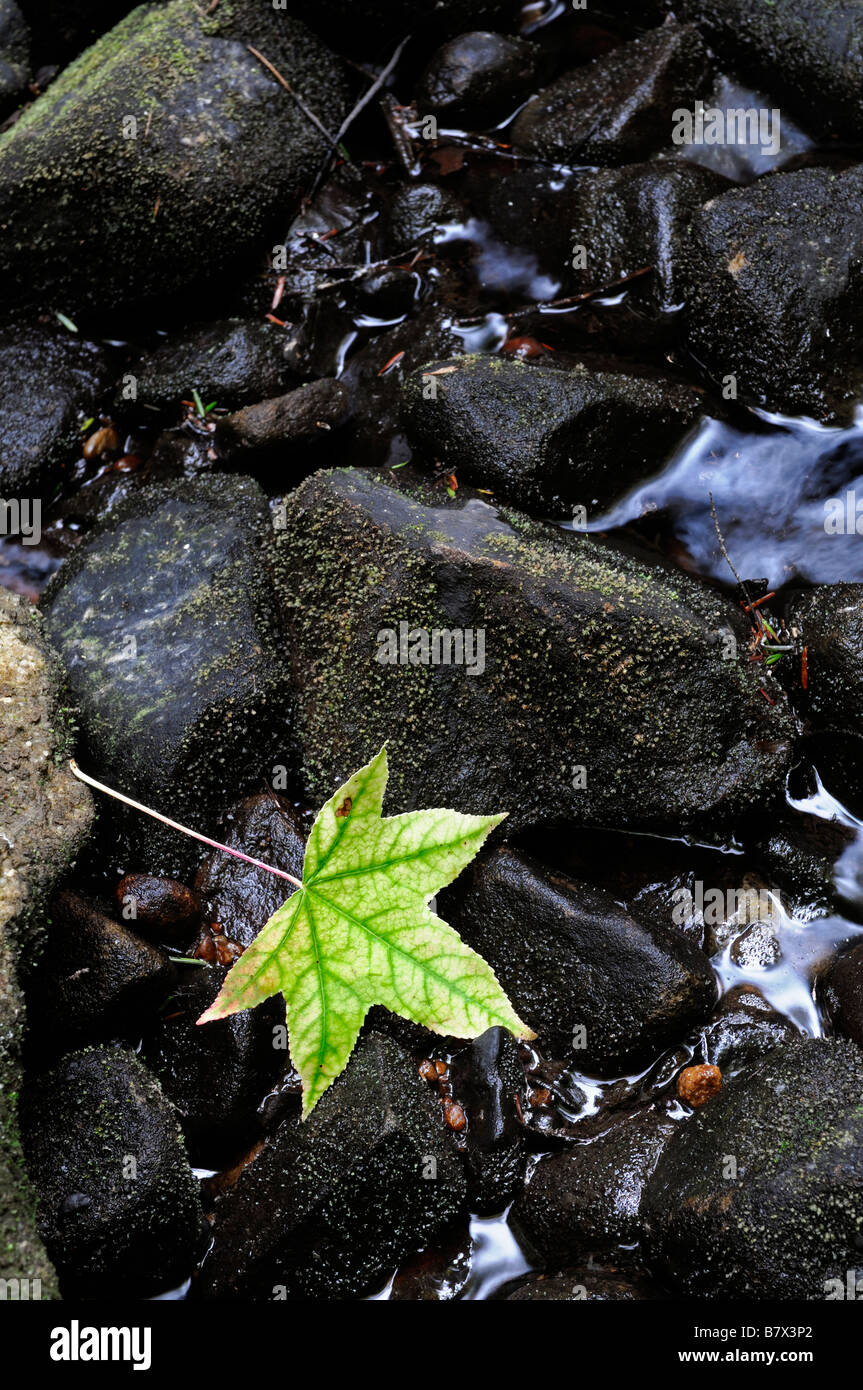 One fallen hi-res stock photography and images - Alamy