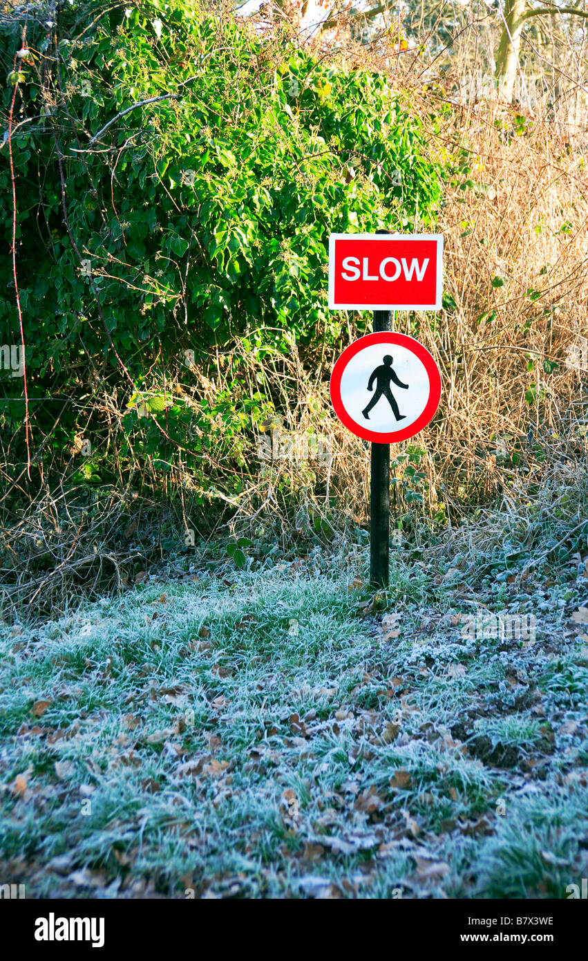 Warning sign to slow down for pedestrians Stock Photo - Alamy