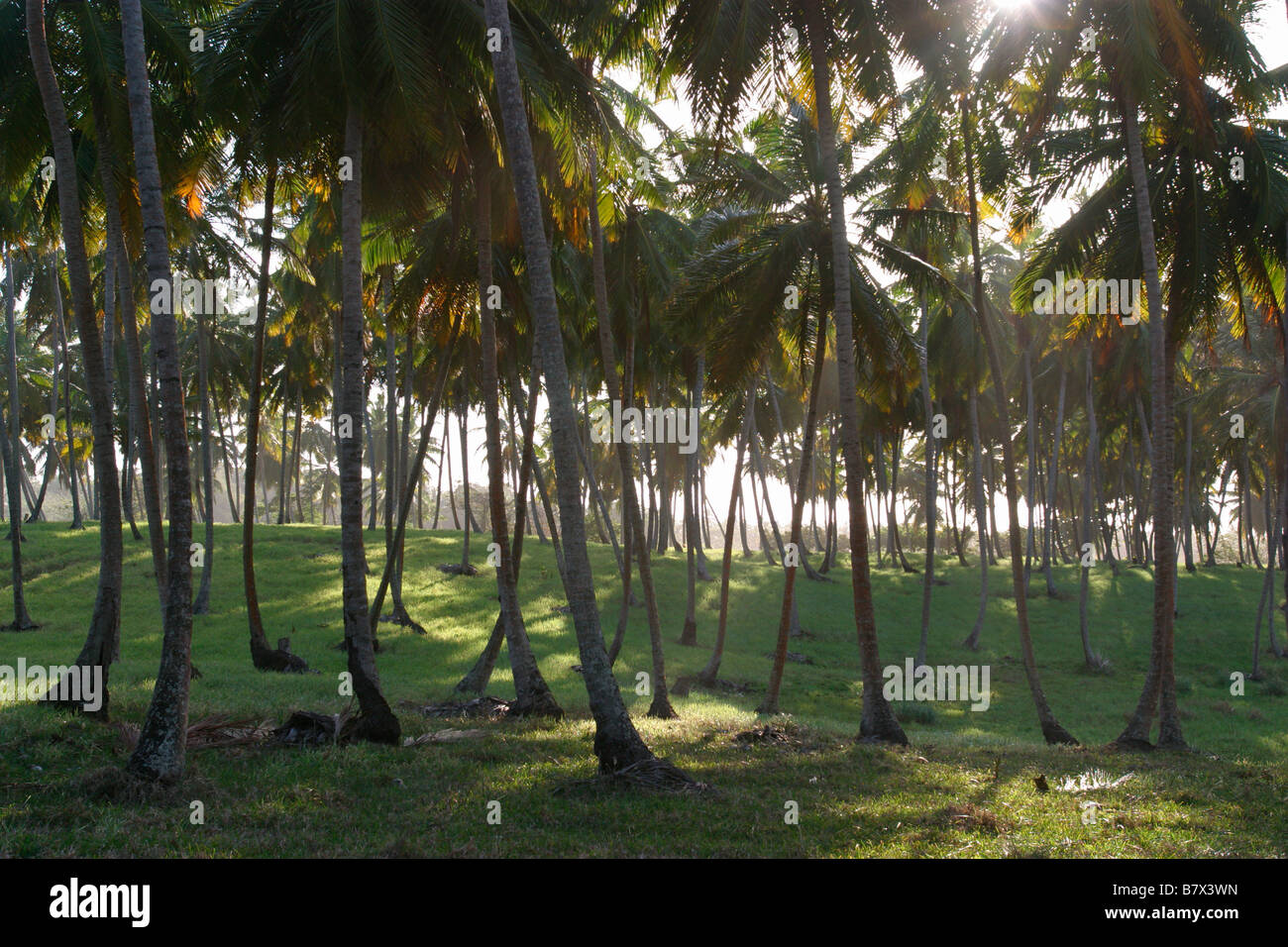 Nagua dominican republic hi-res stock photography and images - Alamy