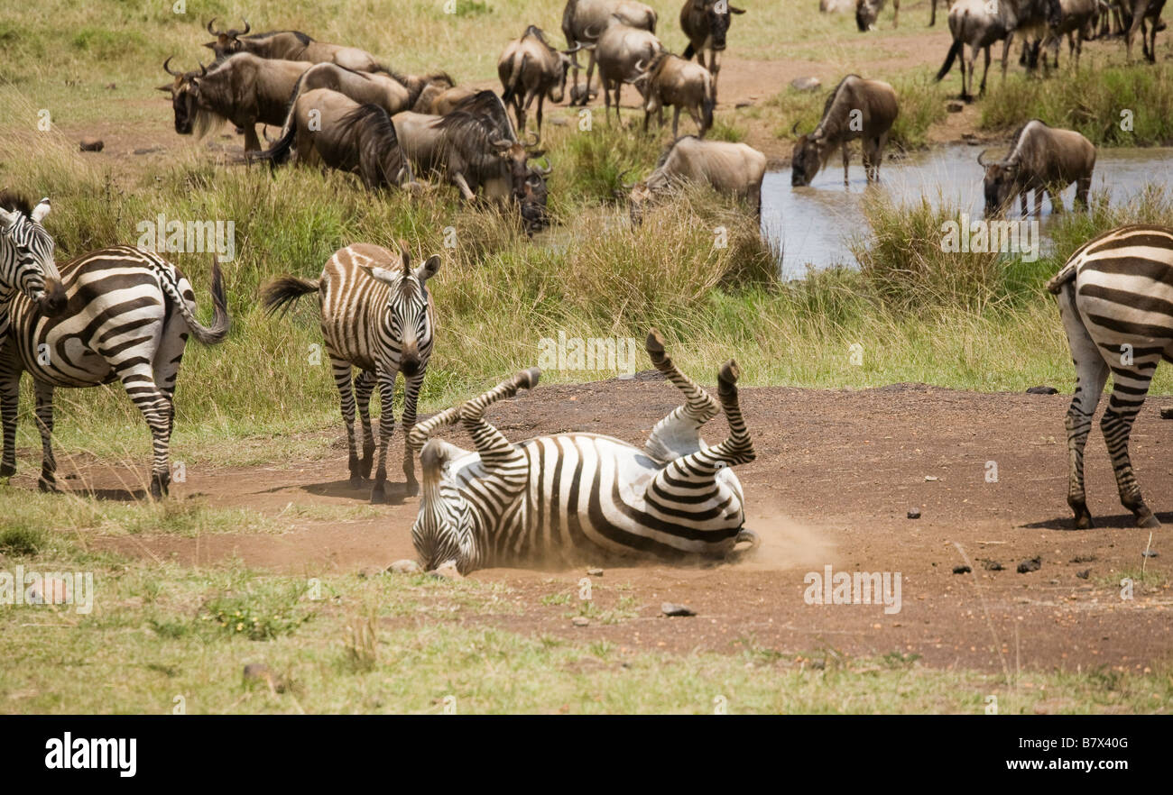 Rolling Plains High Resolution Stock Photography and Images - Alamy