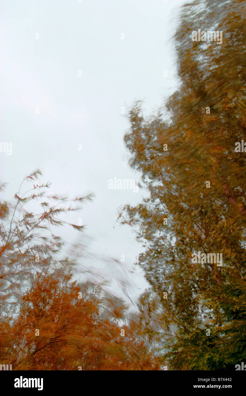 Power of movement hi-res stock photography and images - Alamy