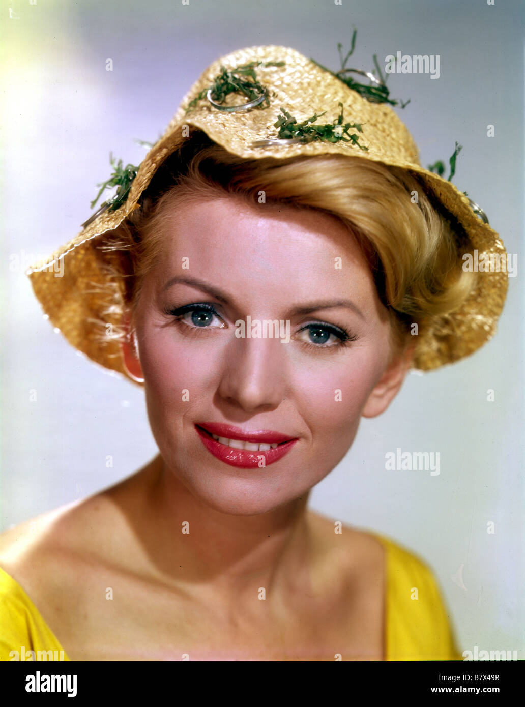 Erica beer hi-res stock photography and images - Alamy