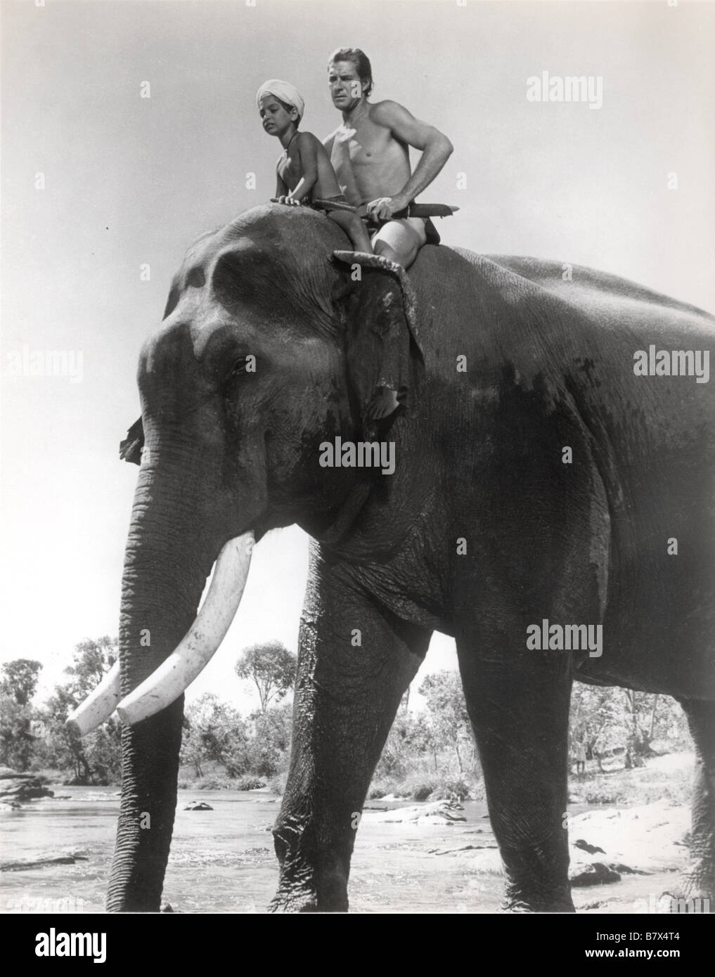 Tarzan goes to india hi-res stock photography and images - Alamy