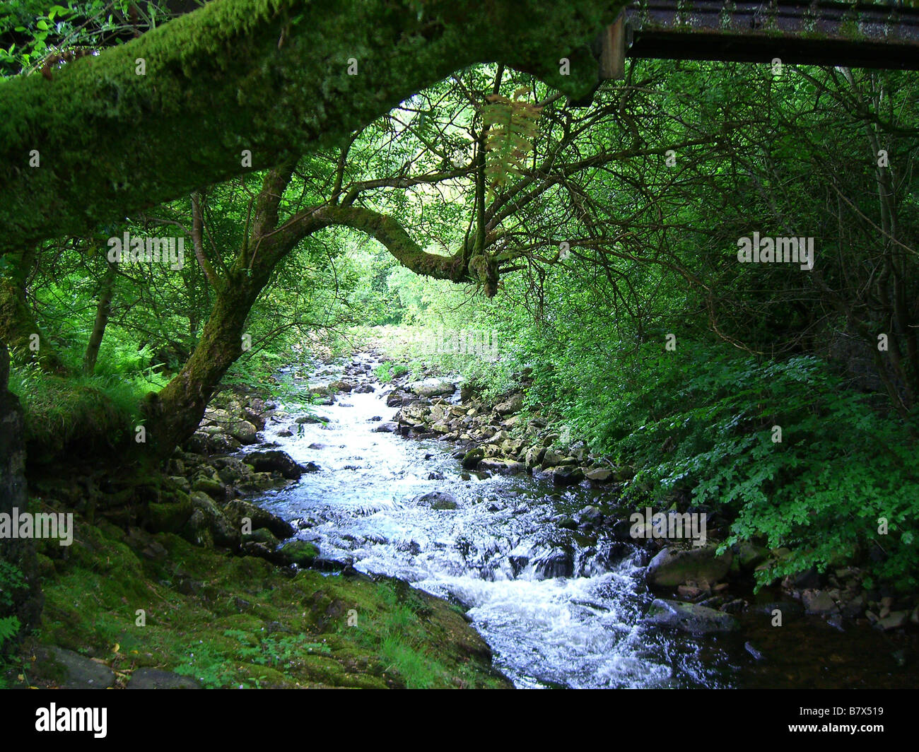Fingle hi-res stock photography and images - Alamy