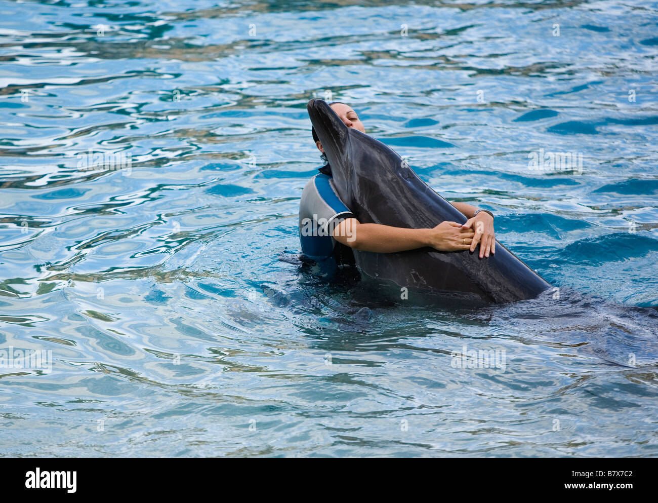 Dolphin hug hi-res stock photography and images - Alamy
