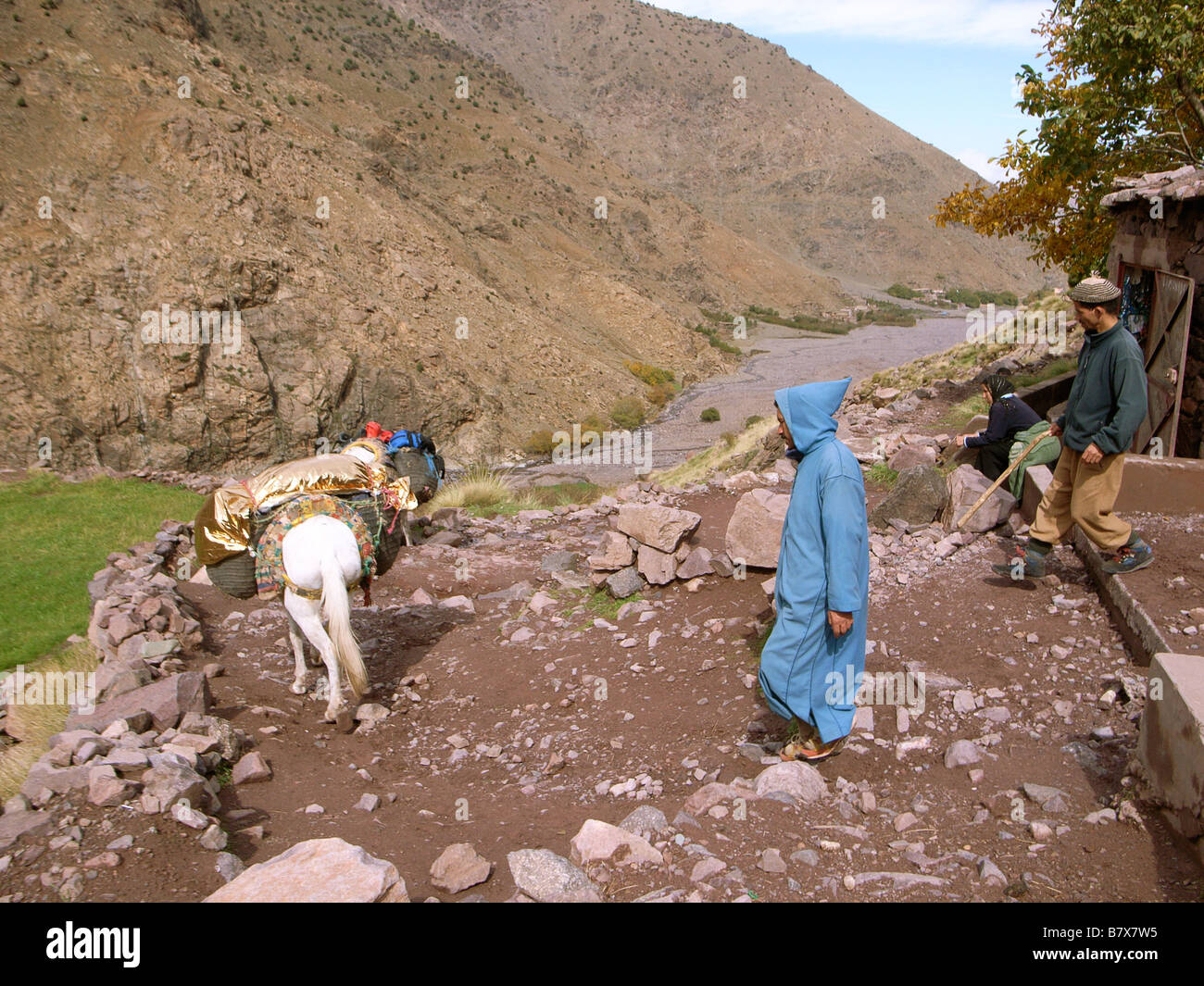 Donkeys carrying load hi-res stock photography and images - Alamy