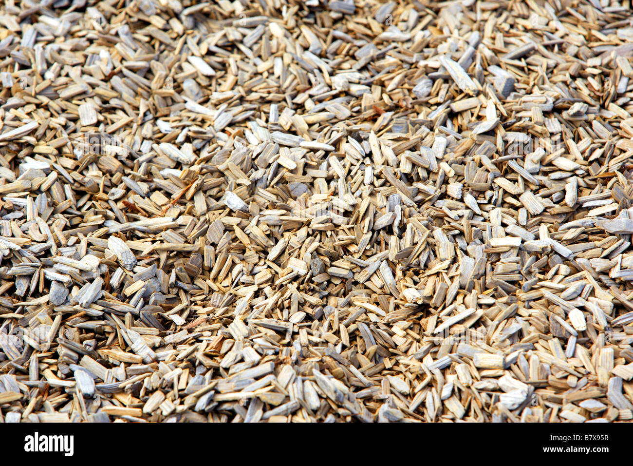 Random texture in nature hi-res stock photography and images - Alamy