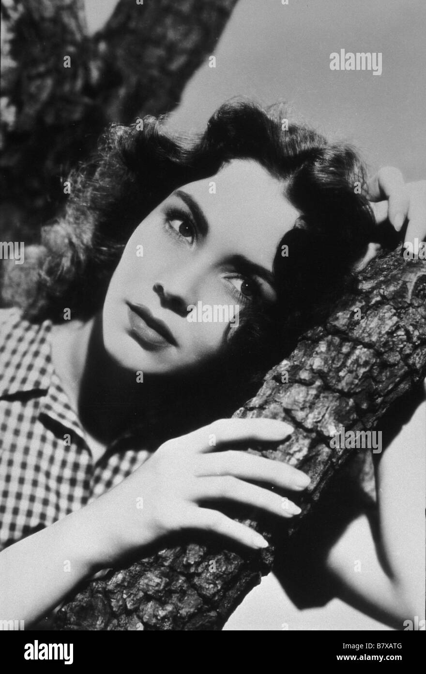 Dain Samuelson's Instagram, Twitter & Facebook on IDCrawl