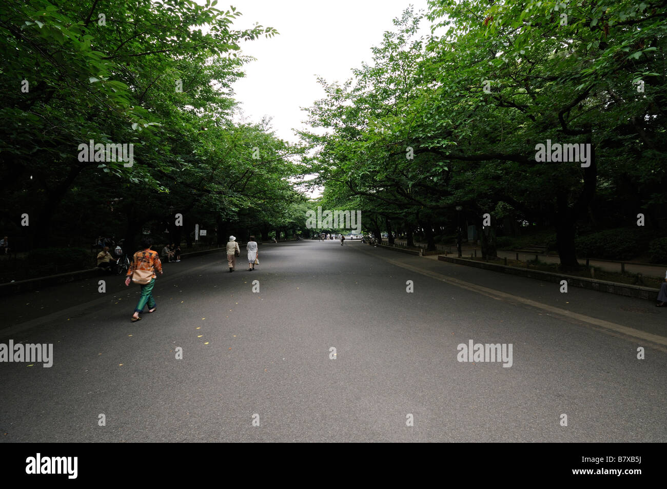 Official pathways hi-res stock photography and images - Alamy