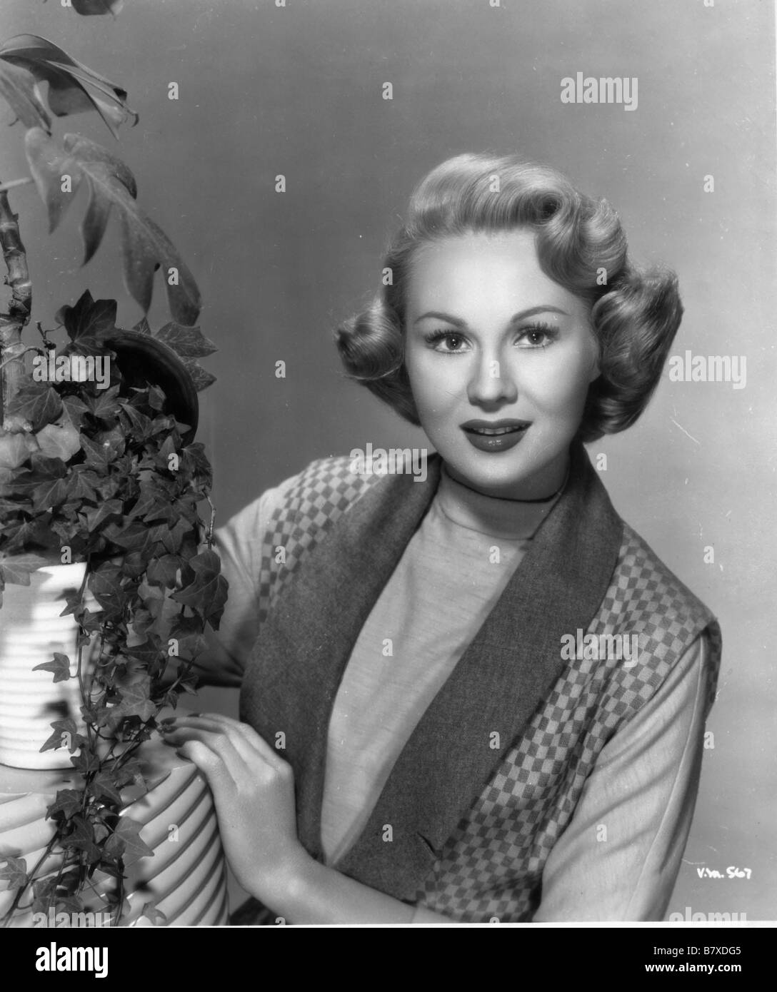 Virginia mayo virginia mayo virginia hi-res stock photography and ...