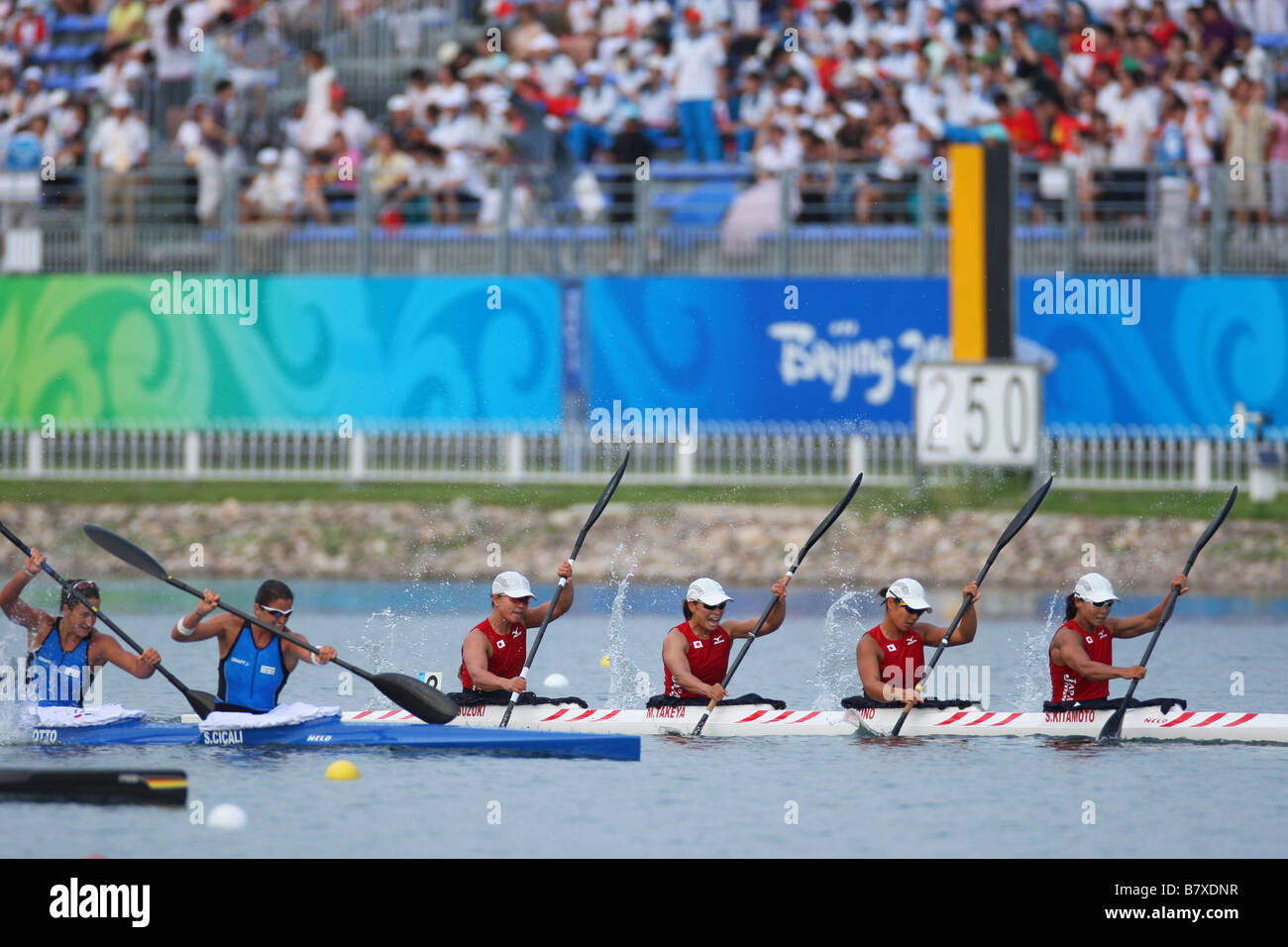 Yumiko kitamura hi-res stock photography and images - Alamy