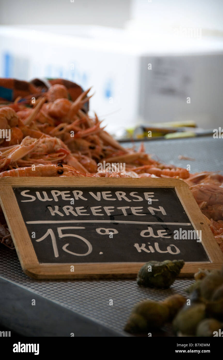 Crayfish for sale in the Bruges medieval fishmarket West Flanders ...